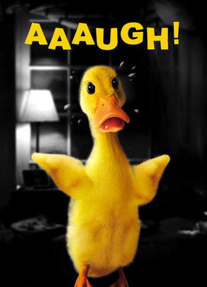 Scared Duck Happy Birthday Card | Cardstore