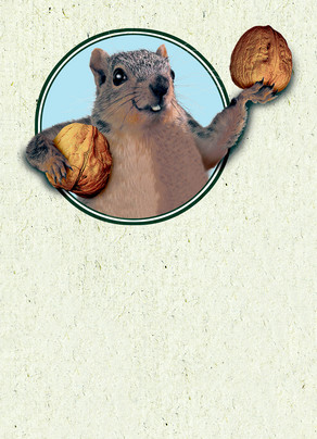 His Left Nut Happy Birthday Card | Cardstore